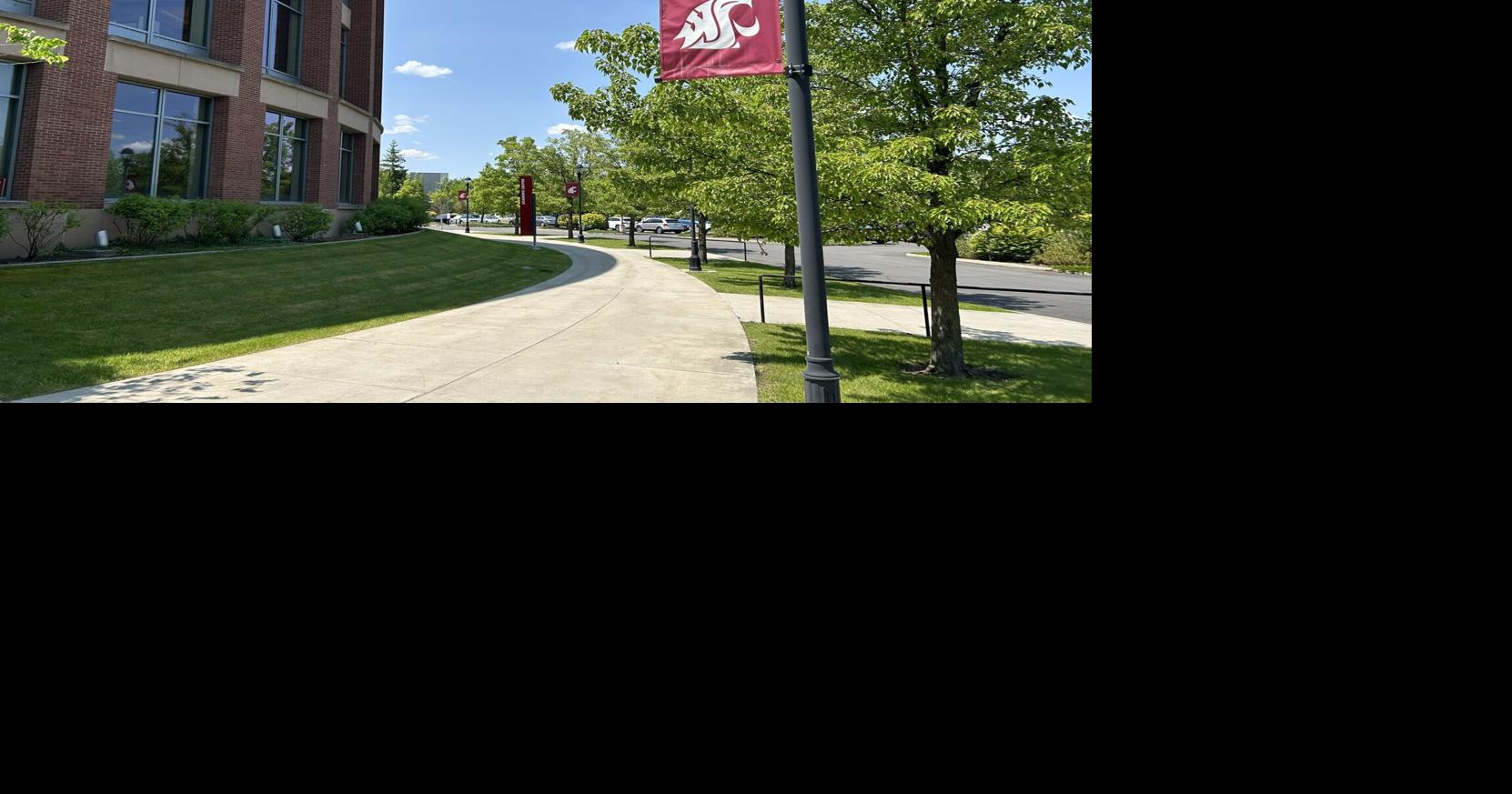 Rapid STI testing now available for WSU students | News | kxly.com