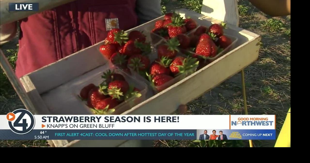 Warmer weather finally brings strawberries to Green Bluff | Community ...
