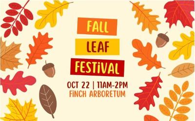 The Fall Leaf Festival is coming back to Spokane | Local News | kxly.com