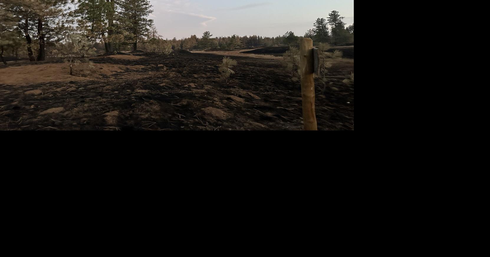 Inside the fire zone of the Gray Fire | | kxly.com