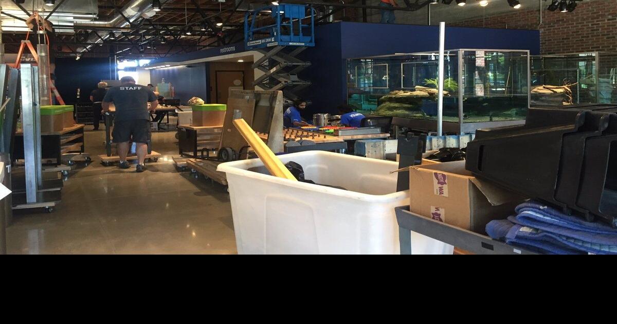 Mobius ready to reopen in new, permanent location Friday | Spokane ...