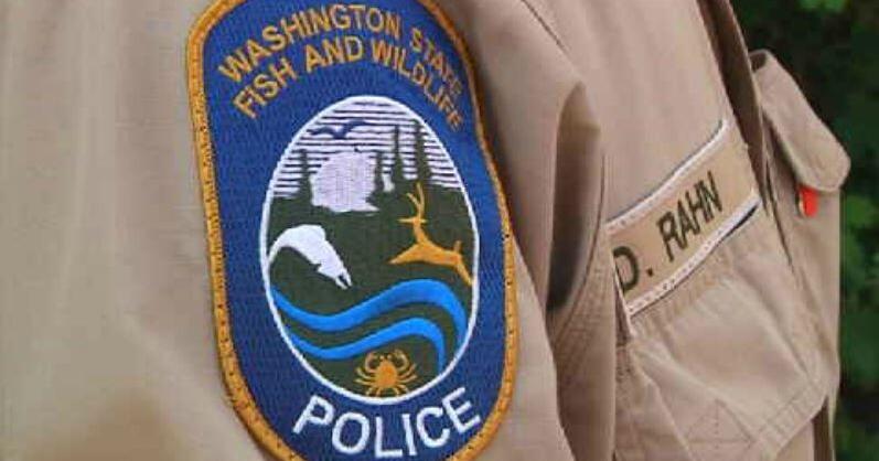 WDFW breaks down backcountry safety following fatal cougar attack ...