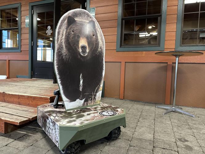 Free bear safety training event coming to Bonner County | News | kxly.com