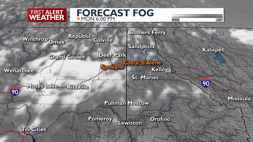 Fog, rain, and warmer temperatures - Allison | Weather | kxly.com