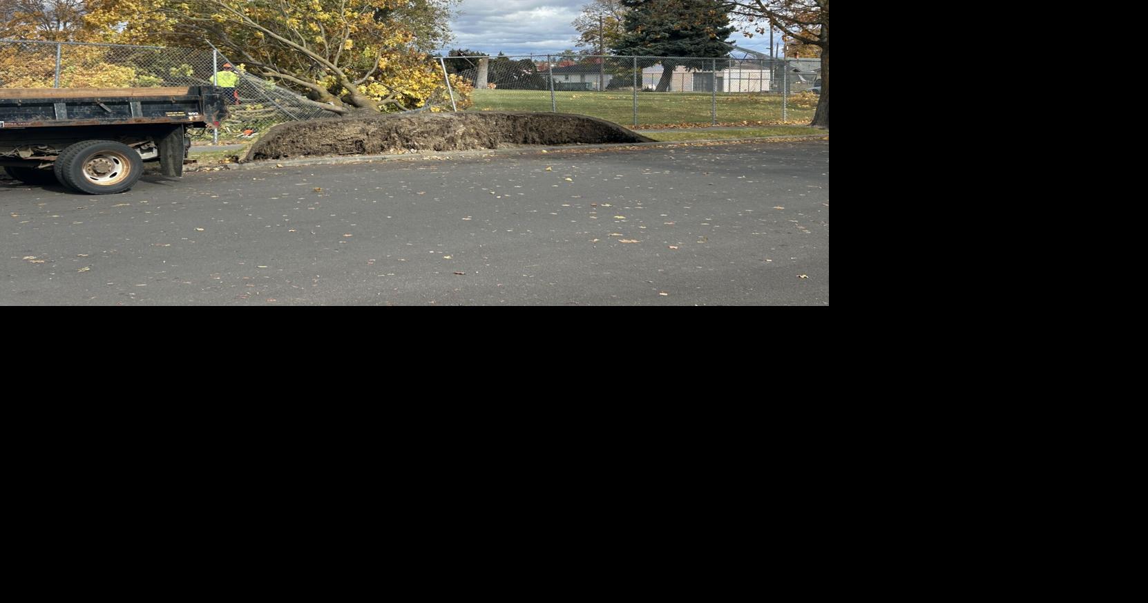 Photo Gallery: Weekend wind damage across Spokane | News | kxly.com