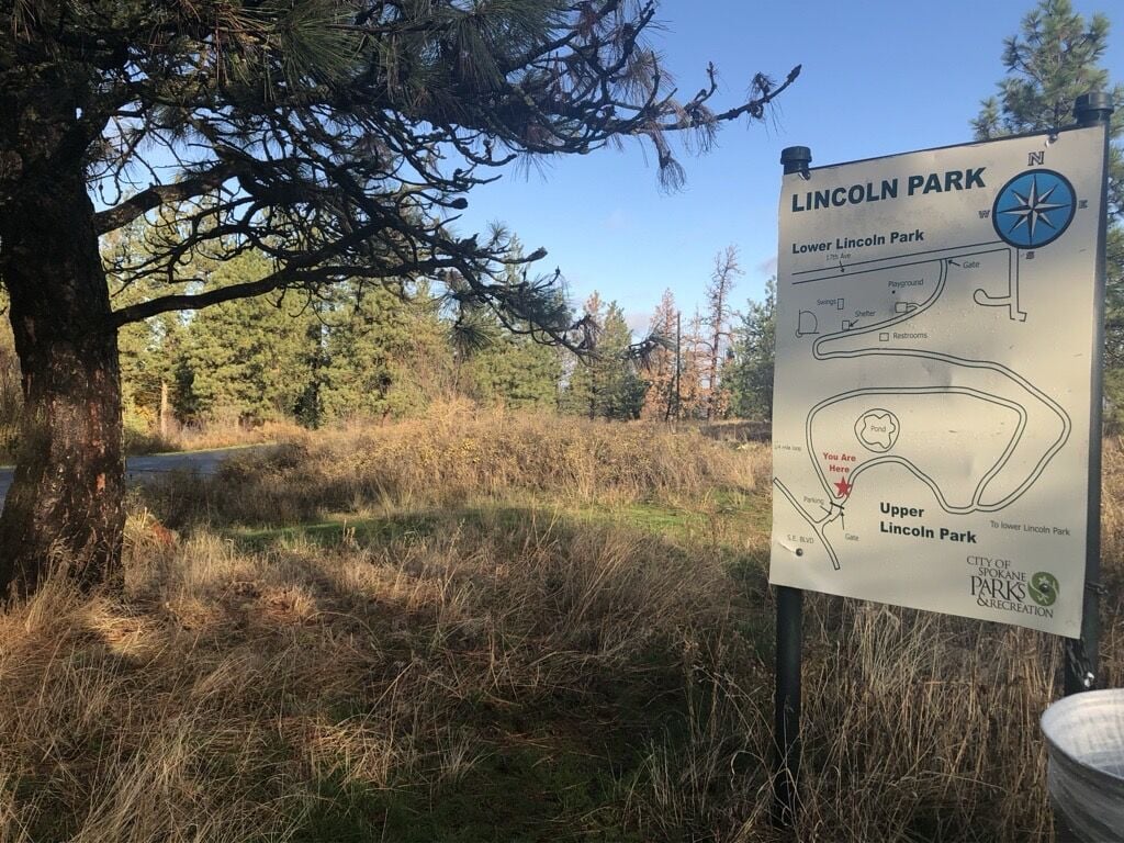 Invasive plant removal event at Upper Lincoln Park | News | kxly.com