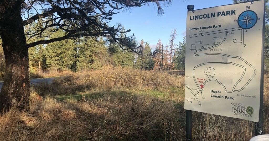 Invasive plant removal event at Upper Lincoln Park | News | kxly.com