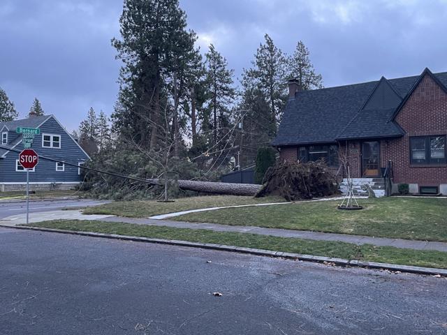 Winds exceed 80 mph in the Inland NW, knocking down trees and power ...