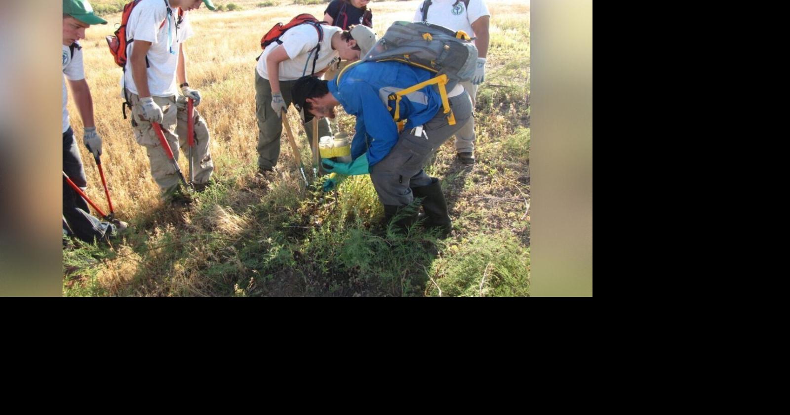 Wa Recreation And Conservation Warns Of Spreading Invasive Plants
