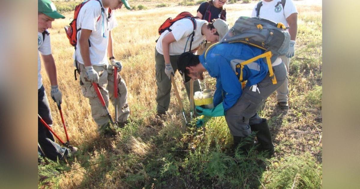 Wa Recreation And Conservation Warns Of Spreading Invasive Plants