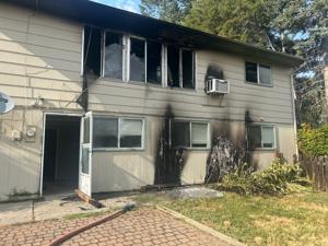 Fire damages Pullman home while homeowner out of town, inspection deems ...