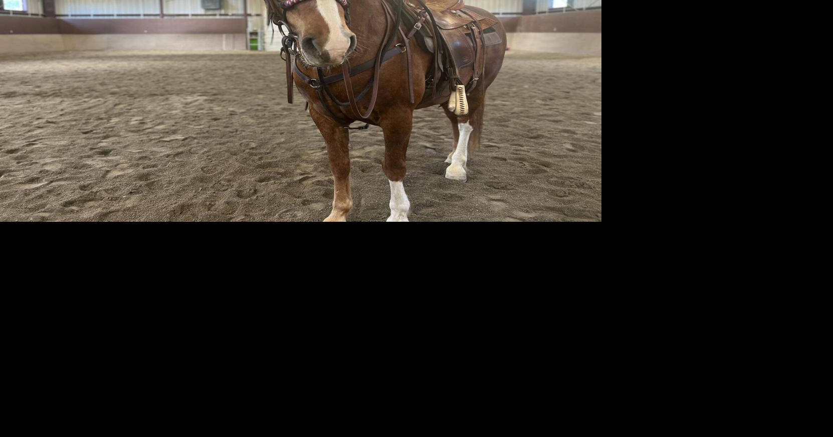 Colville border agents learning horse riding for patrols | News | kxly.com