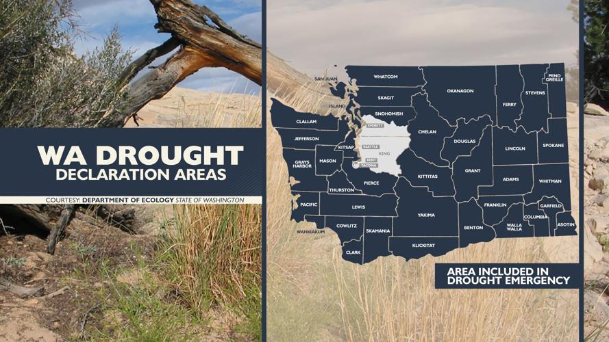 Drought emergency declared in Washington | Local News | kxly.com