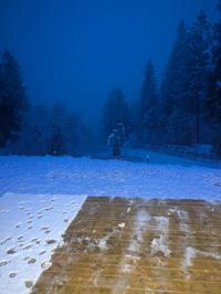 First snowfall in Spokane is the latest since 2008 | News | kxly.com