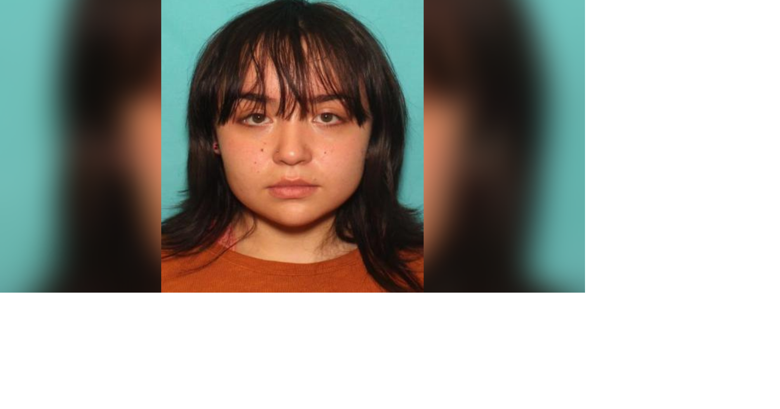 Bonner County Sheriff’s Office searching for missing juvenile | News ...