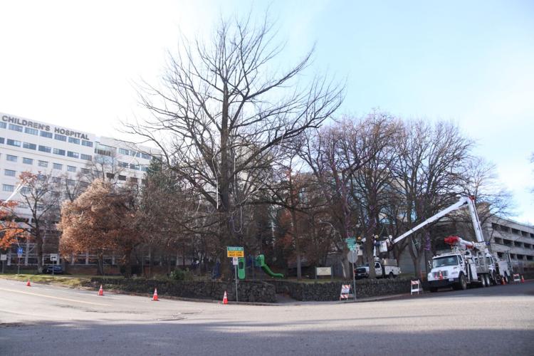 Making Spirits Bright: Mark Peterson and the Extreme Team to unveil ...