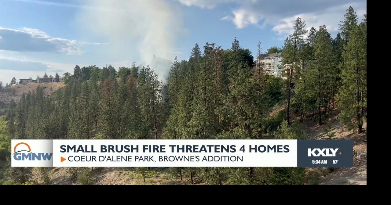 Fire crews put out brush fire threatening homes in Browne's Addition ...