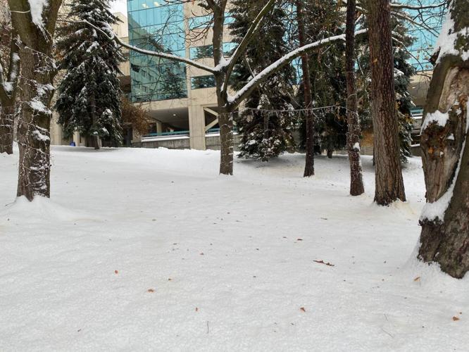 PHOTOS: Extreme Team’s Making Spirits Bright lights at Cowley Park ...