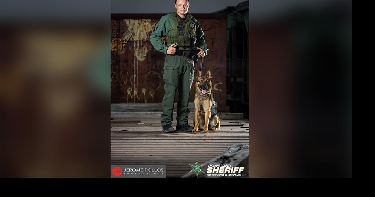 K9 Bane captures suspect who fled from stolen car | Local News | kxly.com