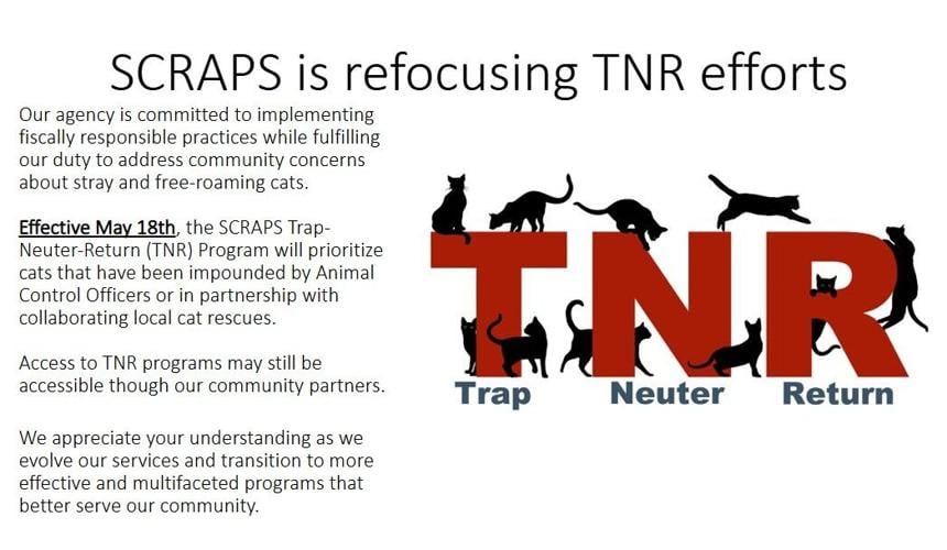 SCRAPS adjusts TNR program for stray cat management | News | kxly.com