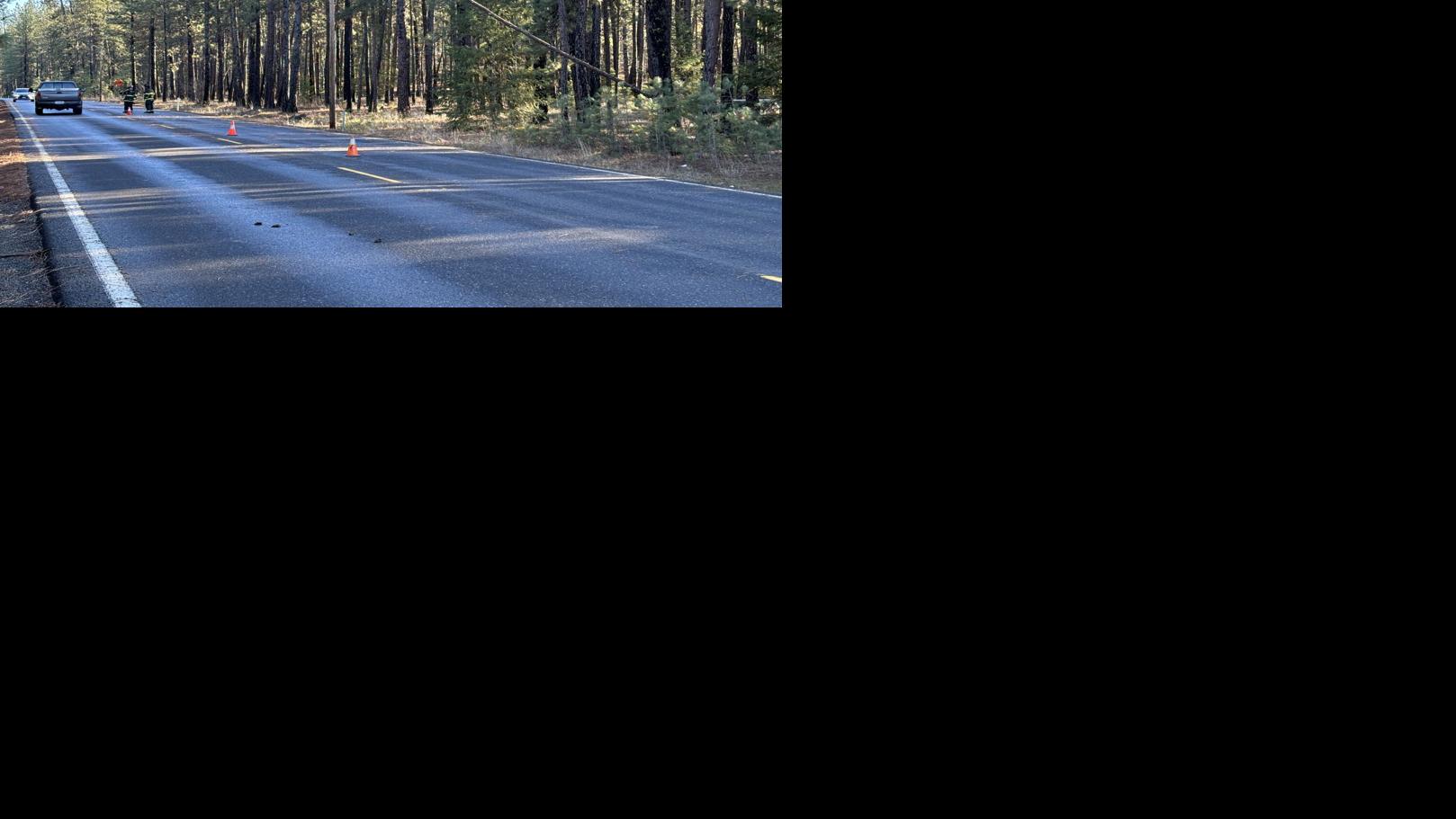 Downed tree on powerlines causes lane restrictions in Nine Mile Falls ...