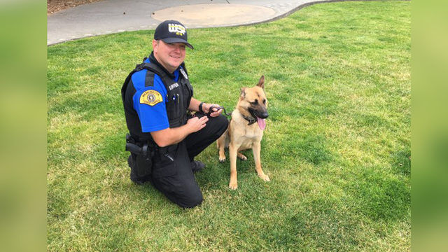 New K9 graduates join Washington State Patrol | Local News | kxly.com