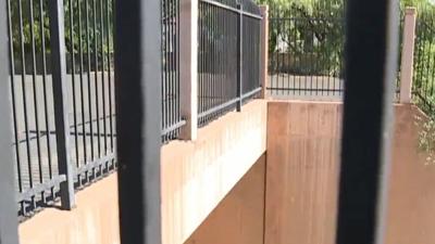 Thousands of bats flock to Phoenix bat cave | Lifestyle | kxly.com