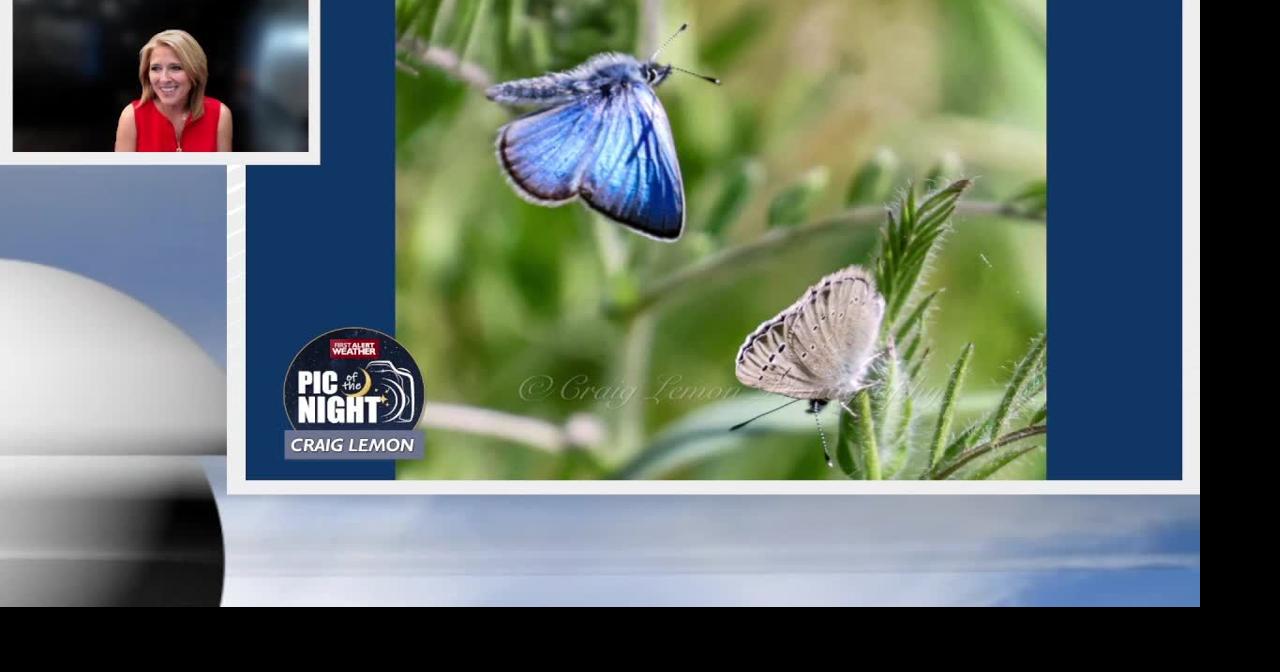Spokane and Coeur d'Alene forecast | Video | kxly.com
