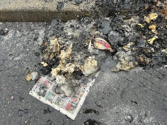 South Hill family wakes to garbage and recycling bins on fire | News ...