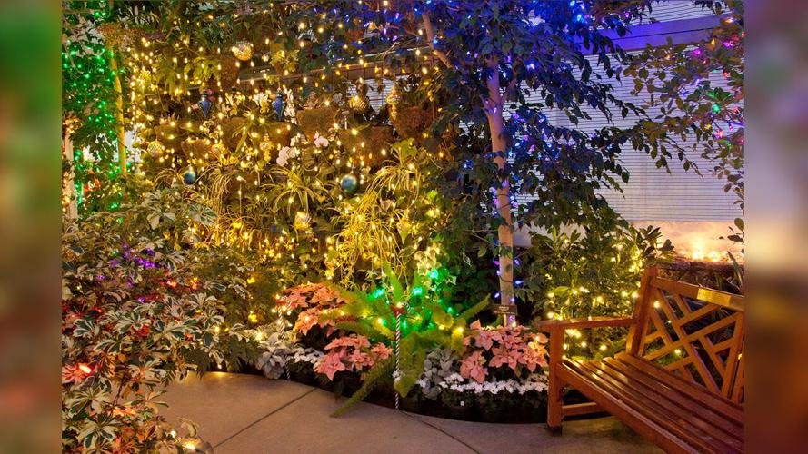 PHOTOS: Gaiser Conservatory to light up for the holiday season | News ...