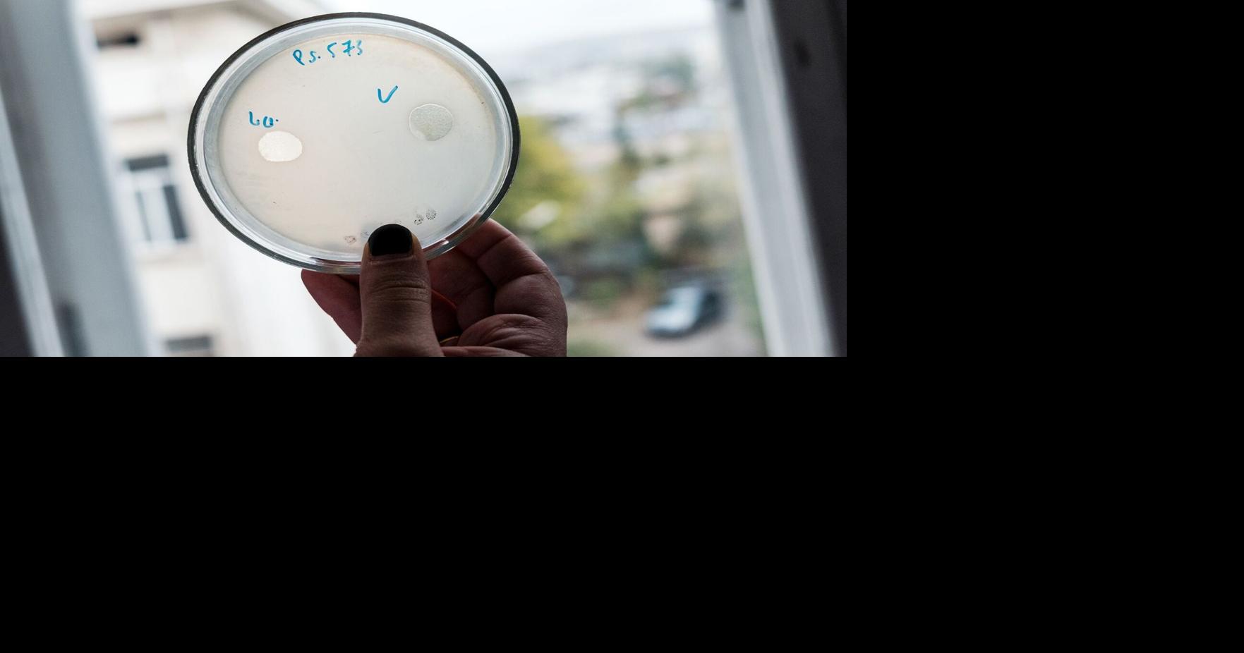 Superbug crisis threatens to kill 10 million per year by 2050 ...