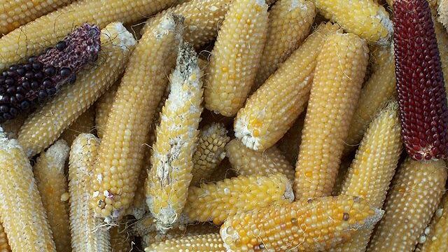 On this day: February 22 | Entertainment | kxly.com