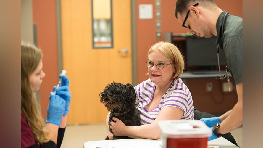 WSU nursing and veterinary medicine hosting Healthy People + Healthy ...