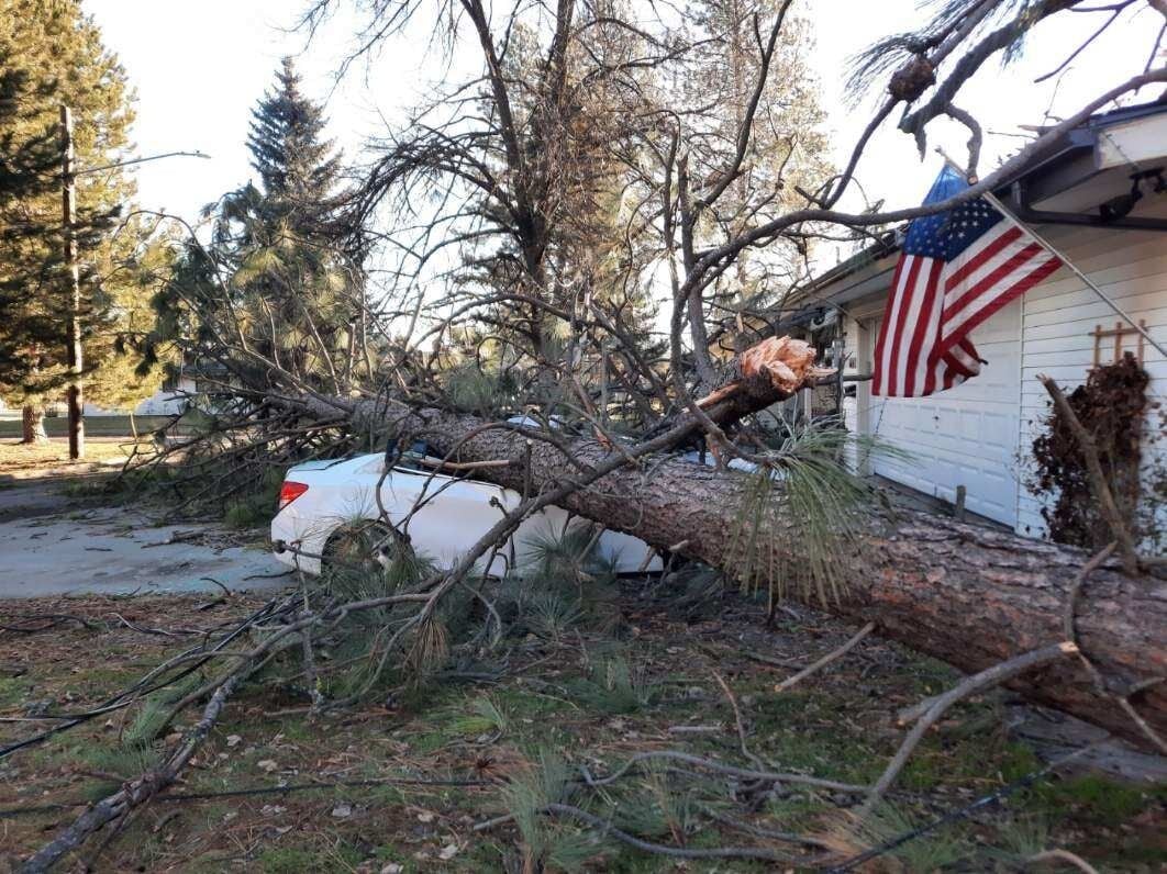 Weather service warns of similarities between wind storm this week and ...