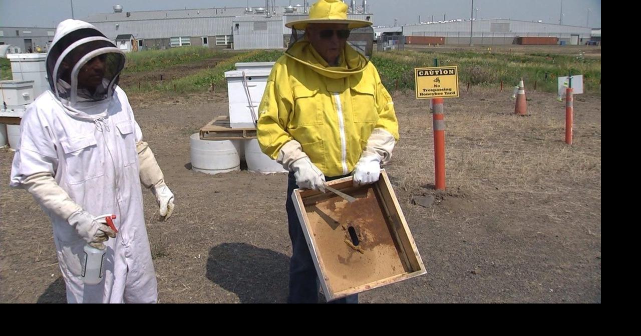 Inside the beekeeping program at Airway Heights Correction Center ...