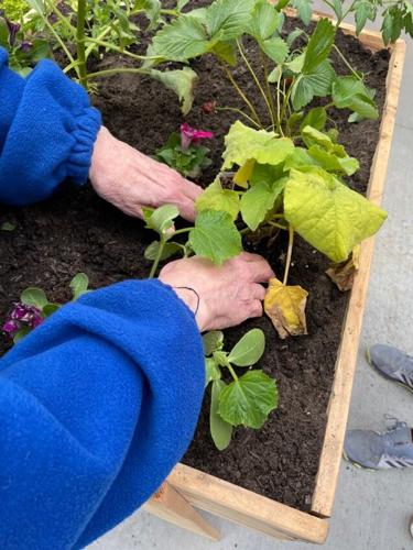 4 News Now Extreme Team brightens day with ‘Gardening for Grands’ | Extreme Team | kxly.com