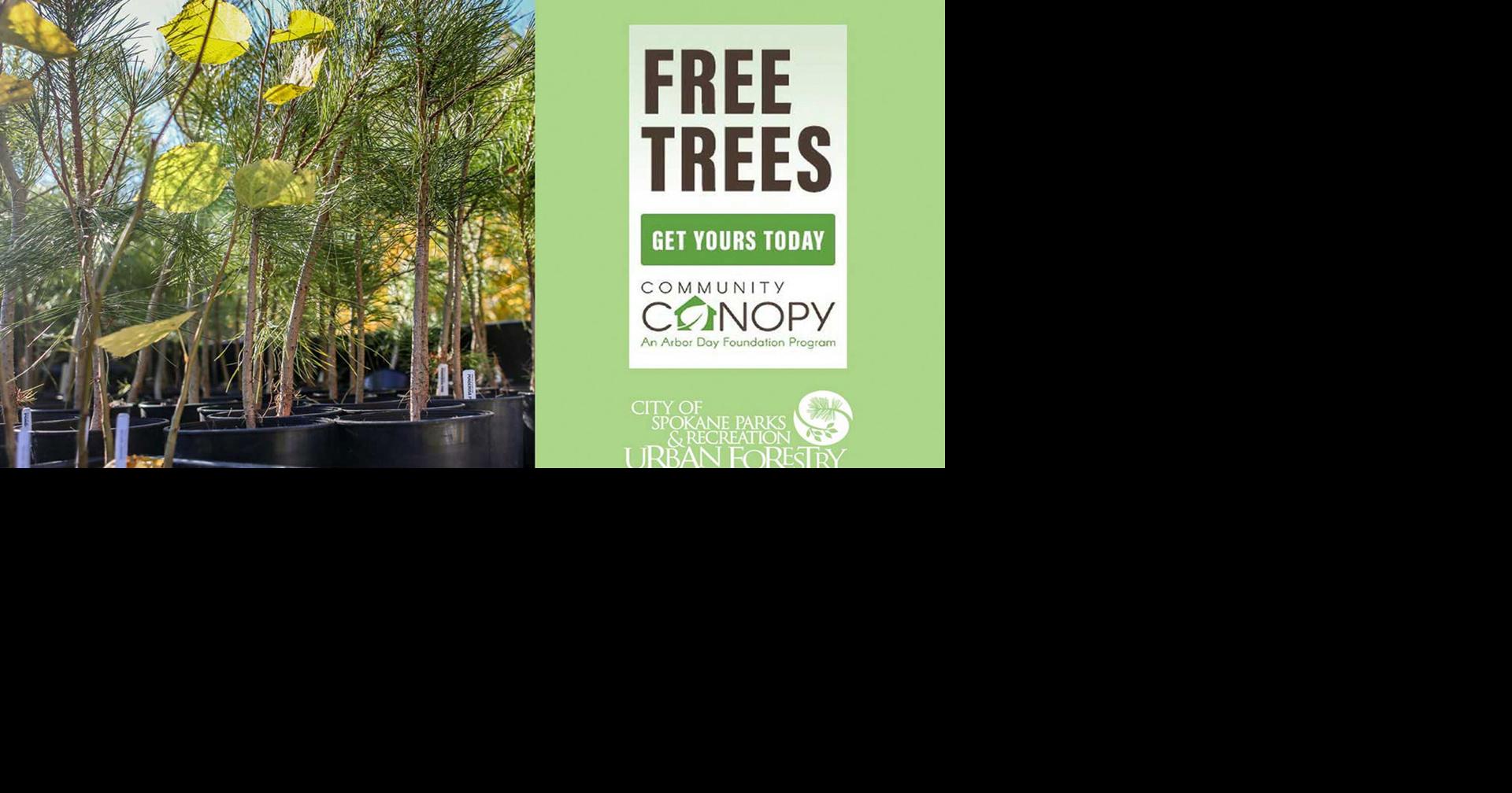 Spokane Neighborhood Tree Program giving away 1,000 free trees | Local ...