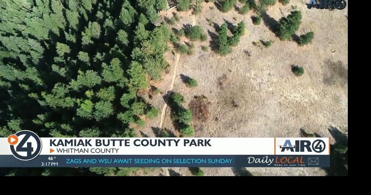 Air 4 Adventure: Celebrate spring at Kamiak Butte County Park ...