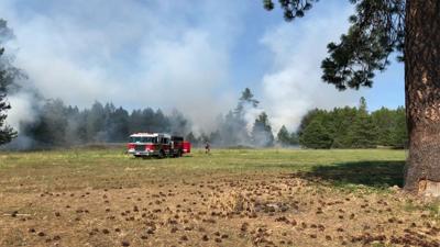 Two buildings, two cars destroyed by brush fire near Diamond Lake ...