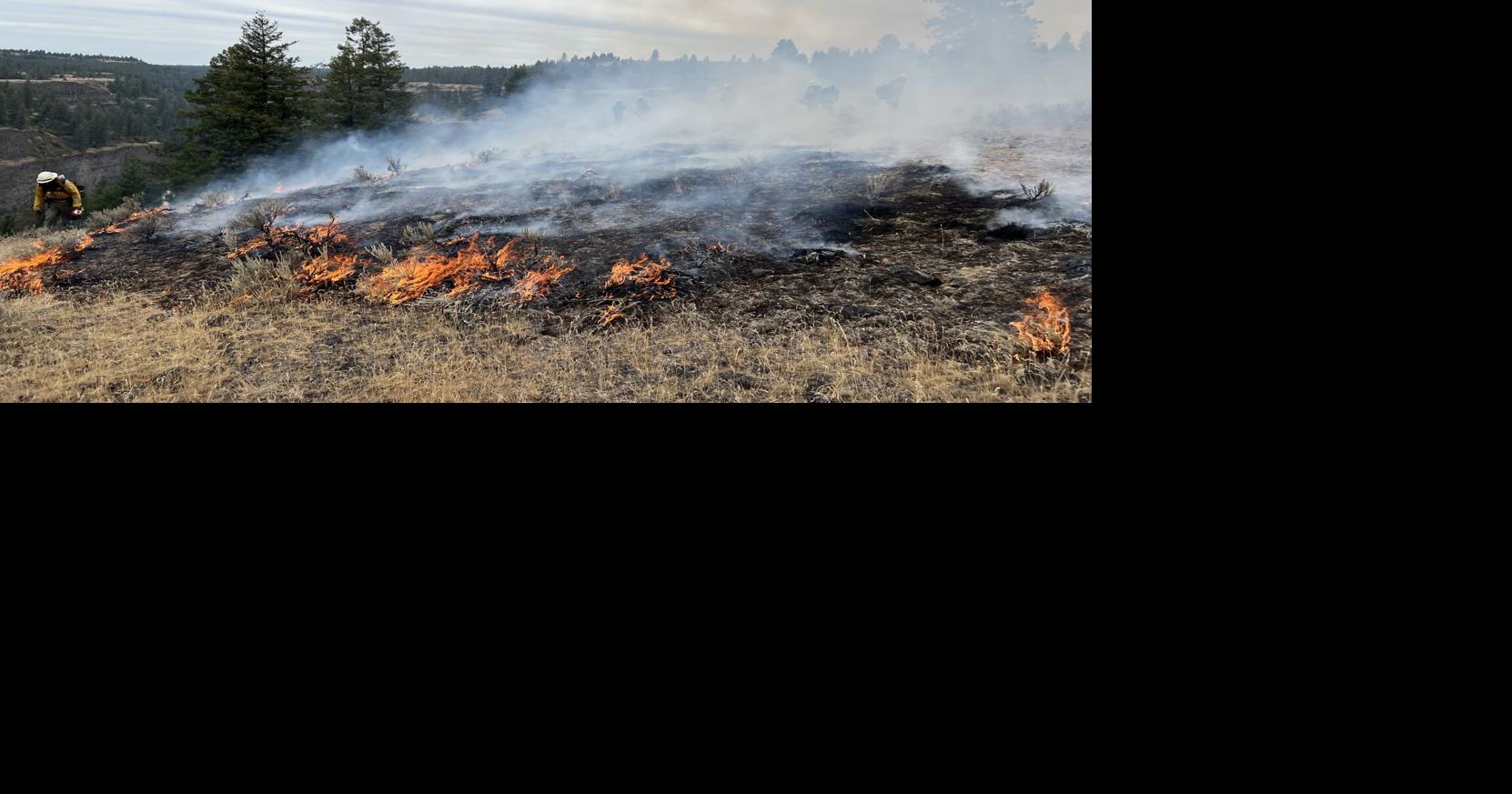 Evacuations reduced for 698-acre Siegel Fire near Rosalia | News | kxly.com