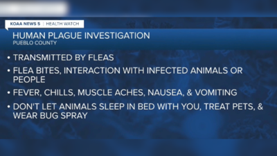 Health officials investigating human plague case in the county | | kxly.com