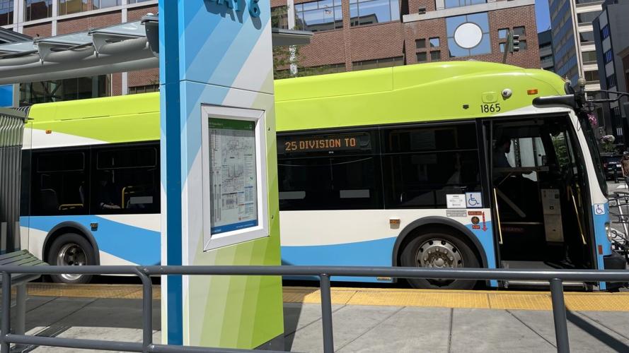 Two STA buses back in service following confirmed reports of bed bugs ...