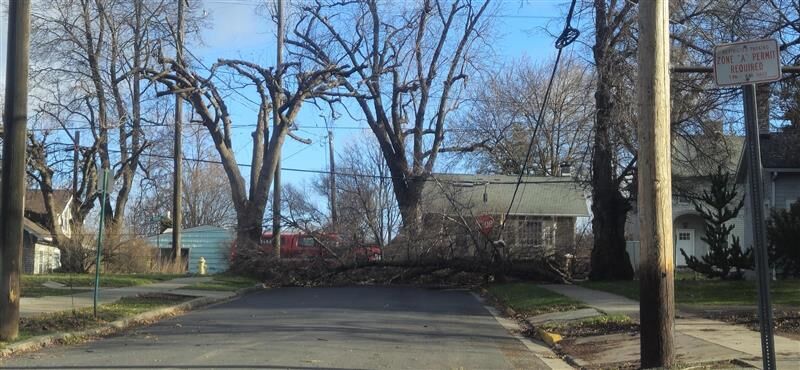 Windstorm takes down trees across Pullman, WSU campus | News | kxly.com