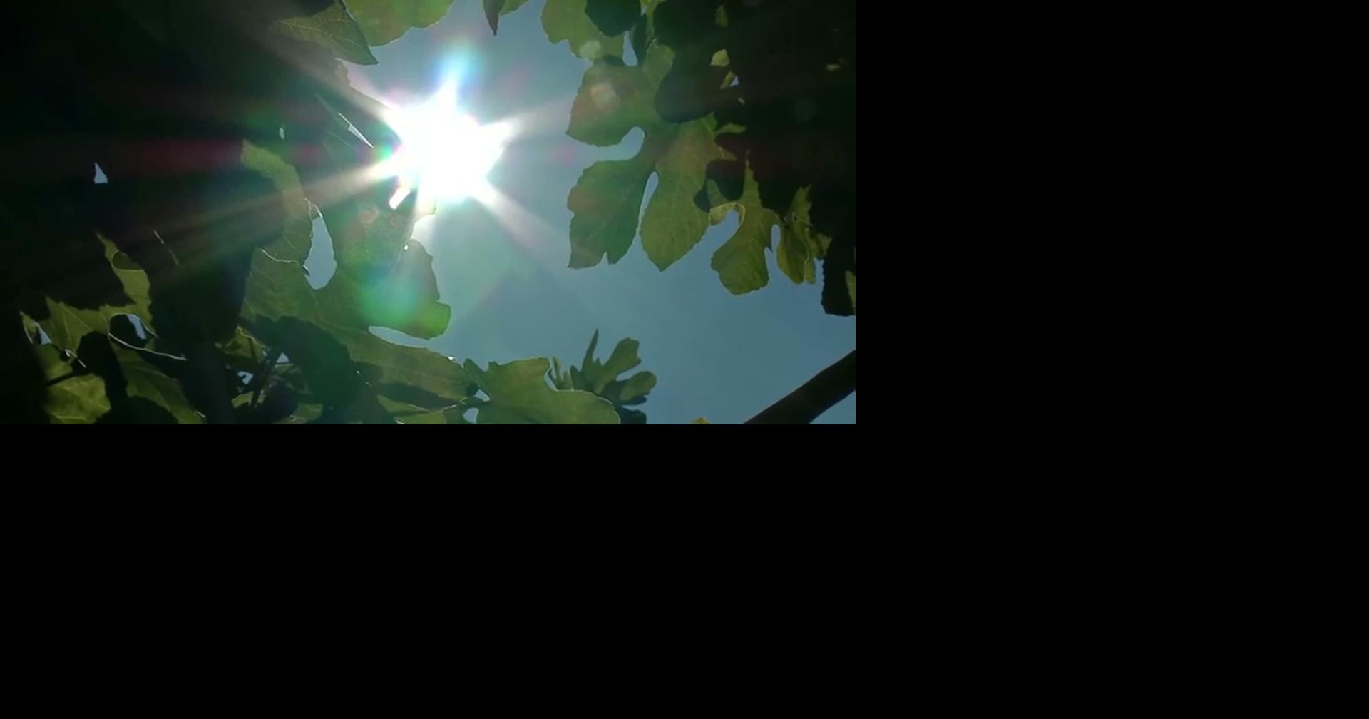 RAW: FILE: PUNISHING HEAT WAVES HIT U-S AND EUROPE | National & World ...