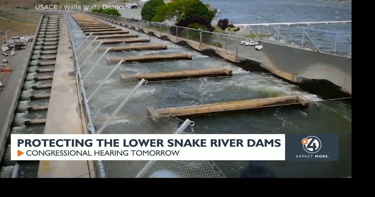 Protecting the lower Snake River dams | Video | kxly.com