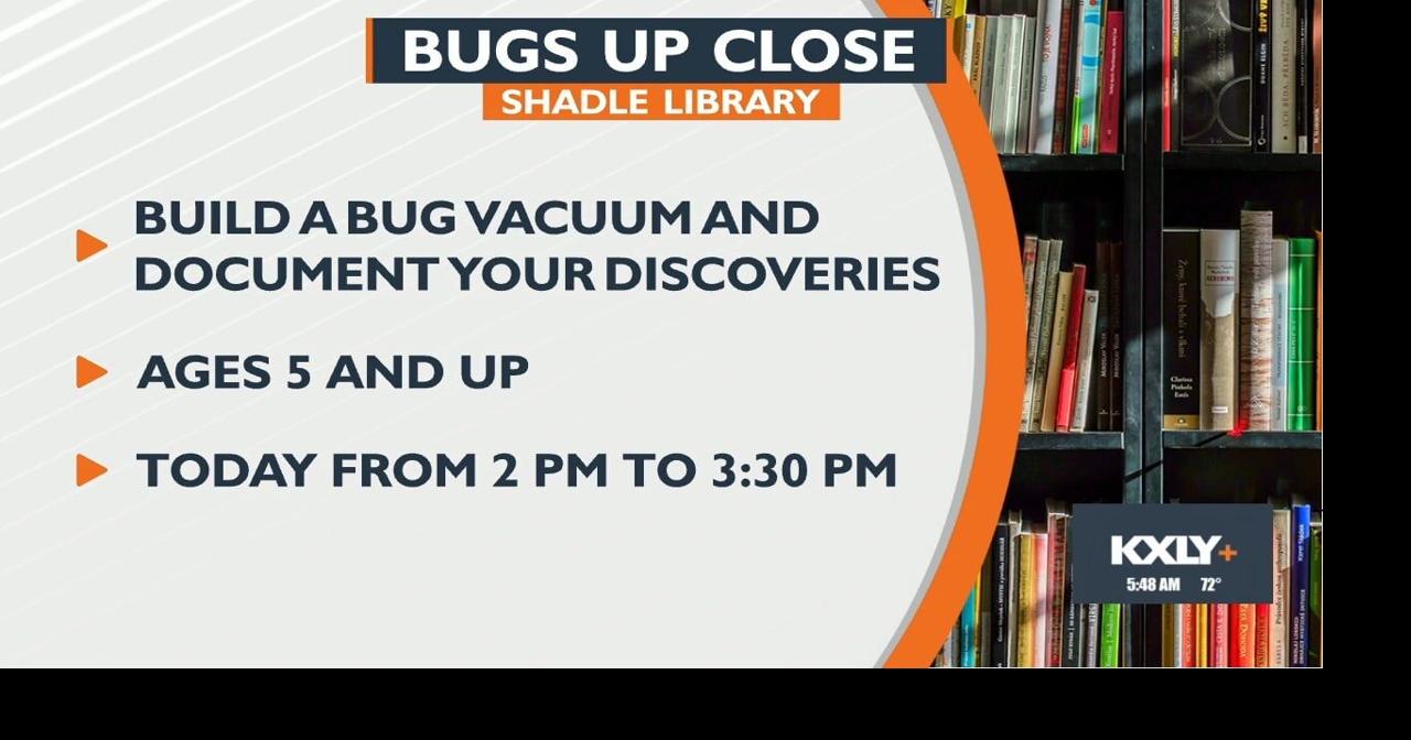 Local libraries provide relief and activities during record heat | News ...