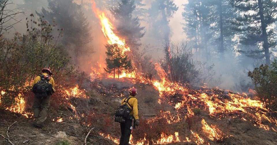 Officials determine Carpenter Road Fire human-caused | Local News ...