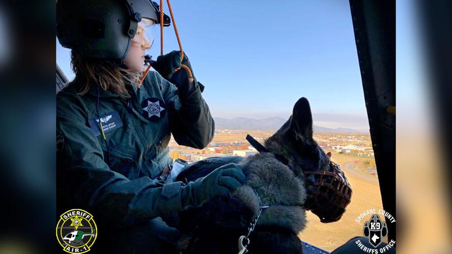 Spokane Valley Police Air Support Unit and K9 Training | Features ...