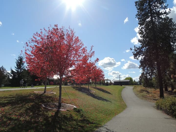 Spokane Valley announce changes at parks due to recent winterization ...