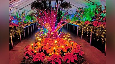 Manito Park’s Gaiser Conservatory is a winter wonderland! | Local News ...